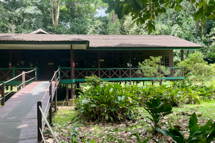 Fledermäuse, Spinnen und Schlangen im Mulu Nationalpark – Fernweh ...