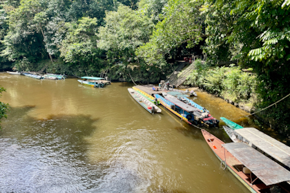 Fledermäuse, Spinnen und Schlangen im Mulu Nationalpark – Fernweh ...